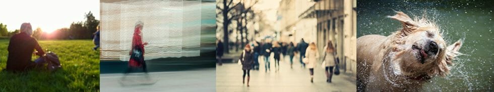 How to Focus: Getting Sharper Pictures for Beginners - iPhotography