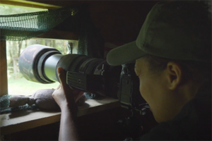 Bird Hide Photography: 7 Quick Tips - iPhotography Training Courses